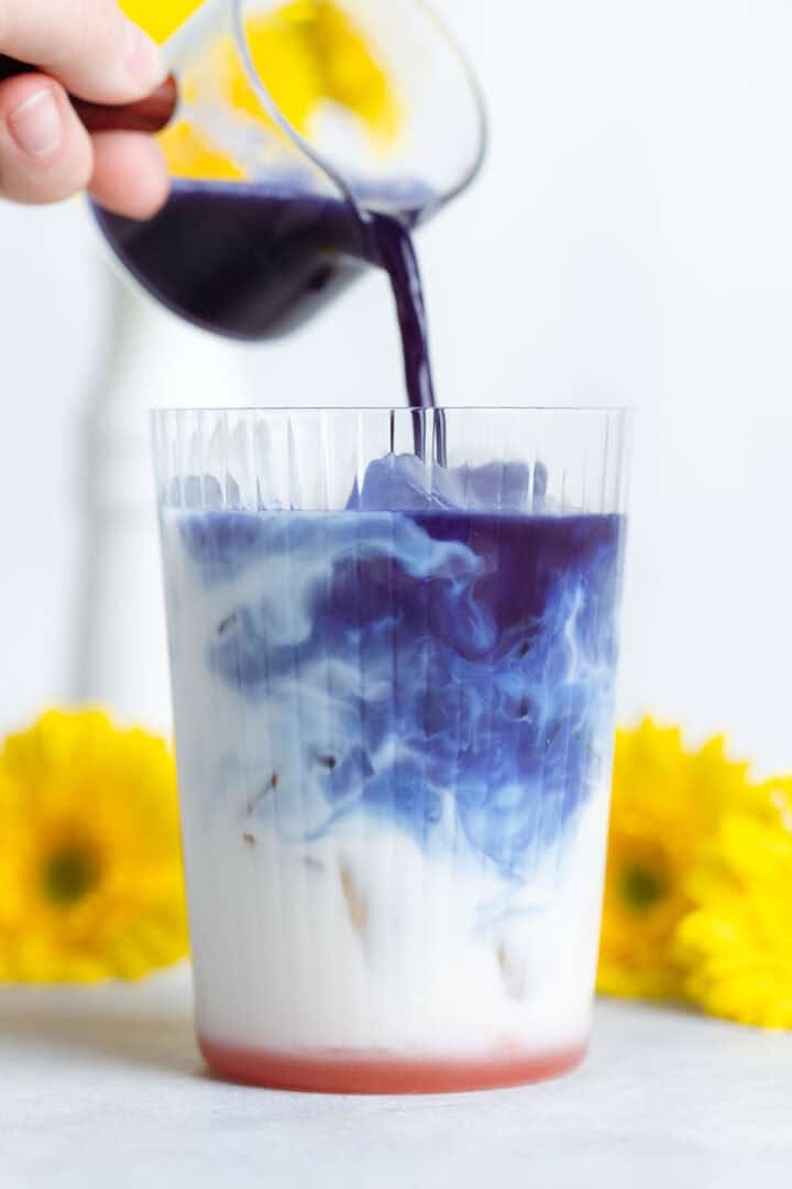 Blue Butterfly Pea Flower Latte - The Healthful Ideas