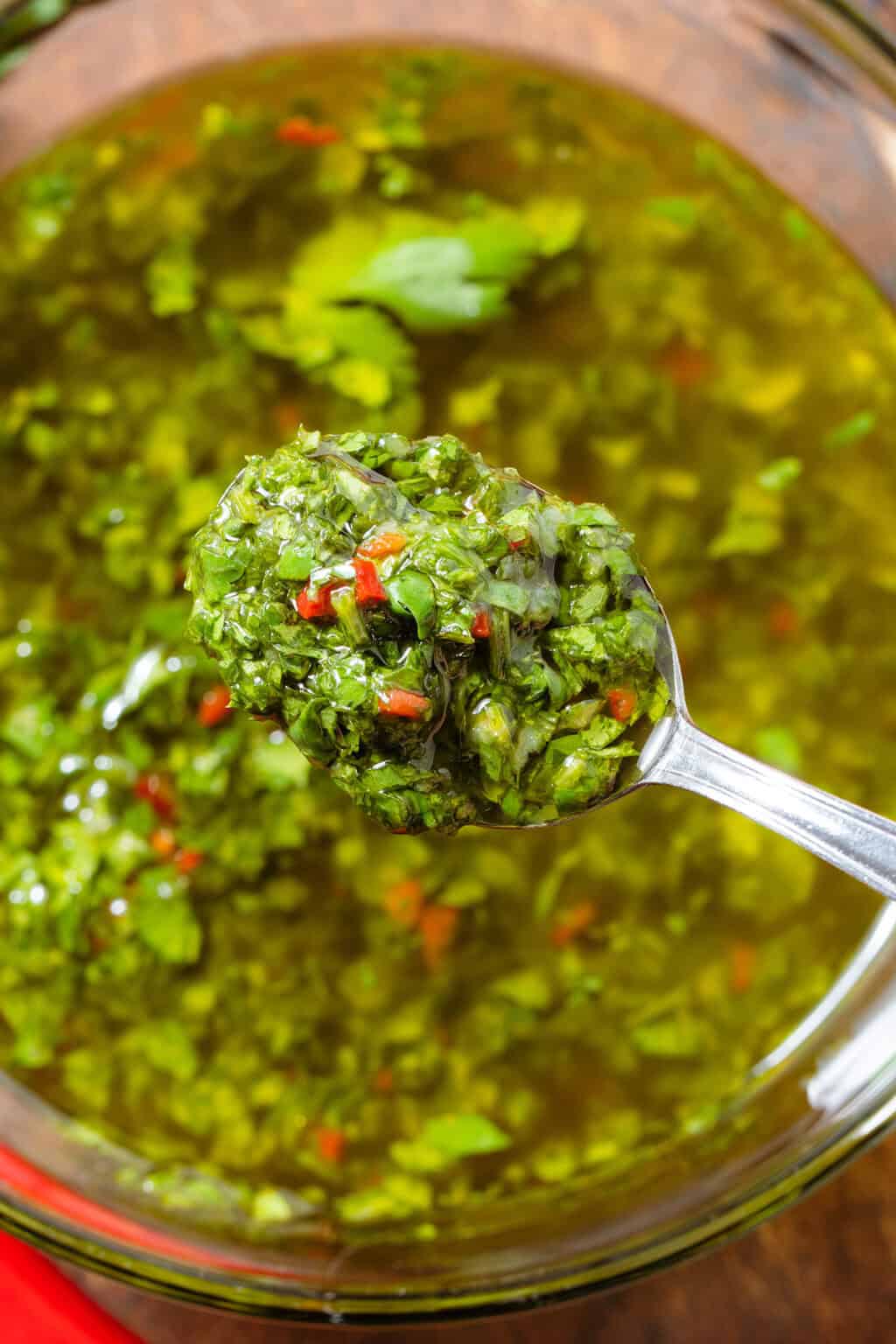 Cilantro Chimichurri - The Healthful Ideas