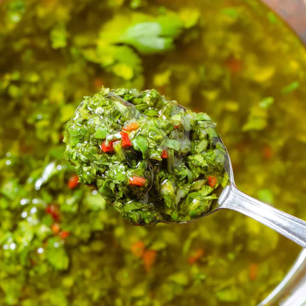 Cilantro Chimichurri - The Healthful Ideas