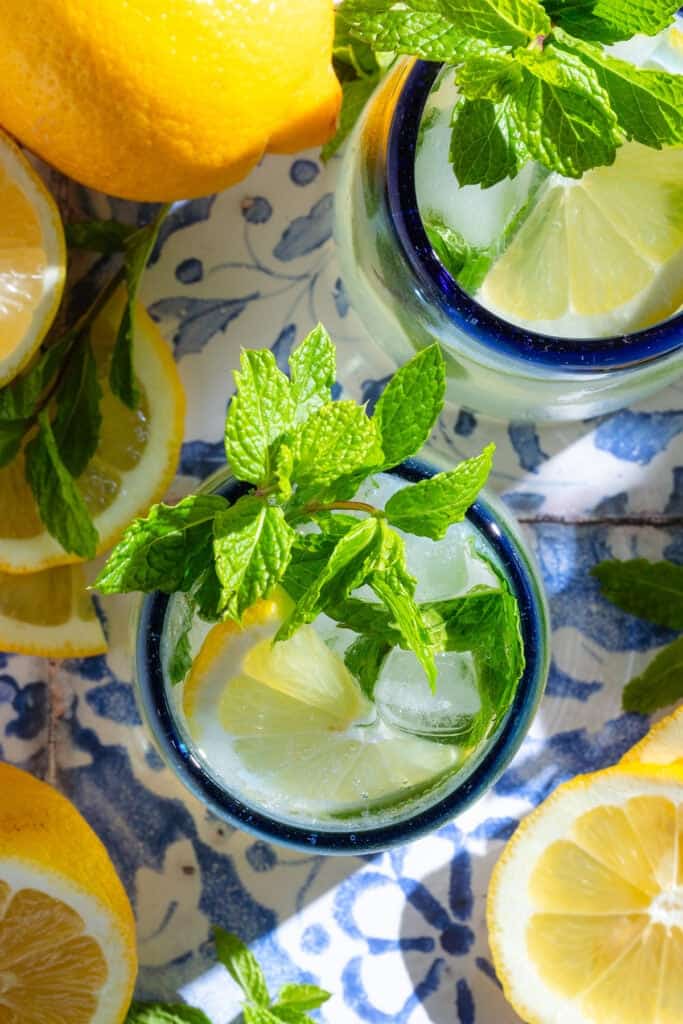 Lemon Mocktail - The Healthful Ideas